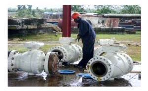 Project Experiences - Rheingold Nigeria Limited